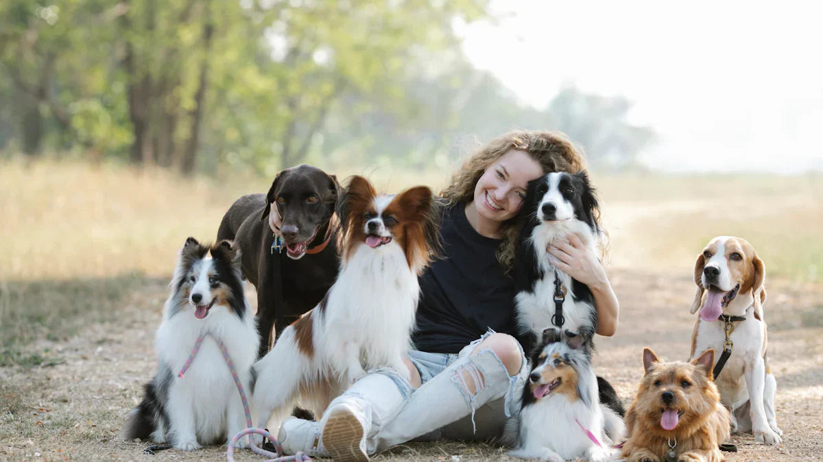 From Strays to Lifesavers: How These Dogs Became Their Owners' Best ...